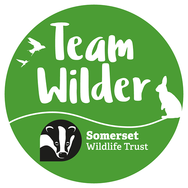 Team Wilder Resources | Somerset Wildlife Trust
