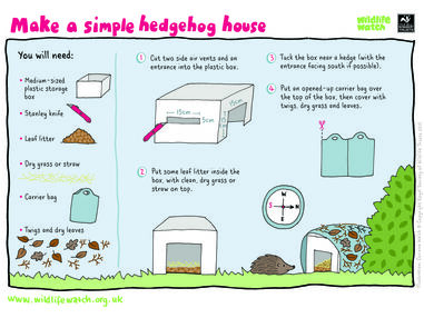 Build a home for wildlife | Somerset Wildlife Trust