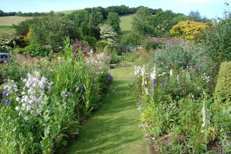 Events | Somerset Wildlife Trust