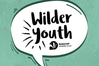 Our Projects | Somerset Wildlife Trust