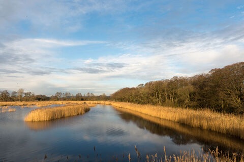Catcott Appeal | Somerset Wildlife Trust