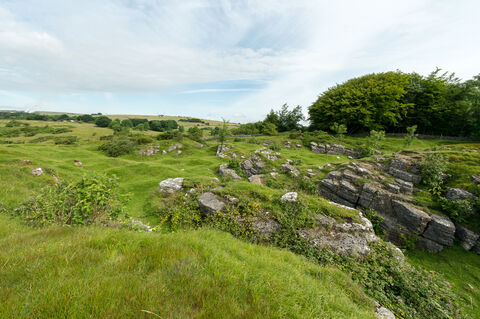 Mendip Hills | Somerset Wildlife Trust
