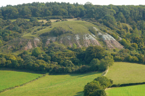 Our nature reserves need your help | Somerset Wildlife Trust