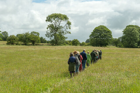 Events | Somerset Wildlife Trust