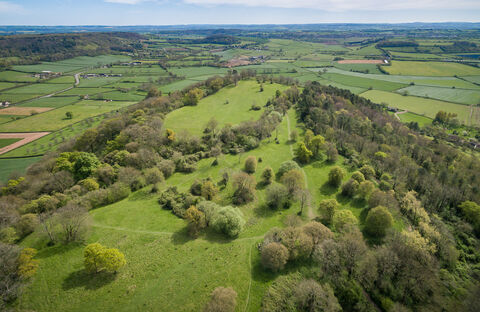 Somerset's Nature Recovery | Somerset Wildlife Trust