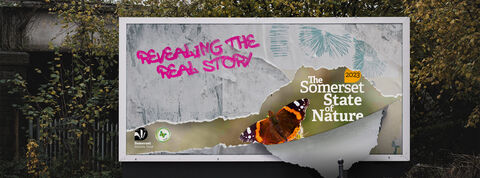 Somerset Wildlife Trust launches first ever Somerset State of Nature ...
