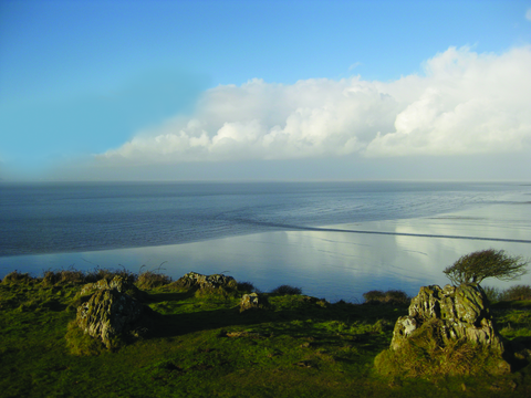 Severn Estuary Interests Group responds to Nuclear Review (Nuclear ...