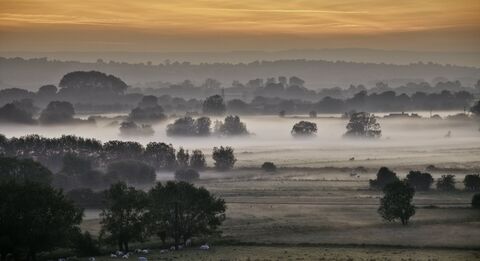 Adapting the Levels Landscape Recovery Project | Somerset Wildlife Trust