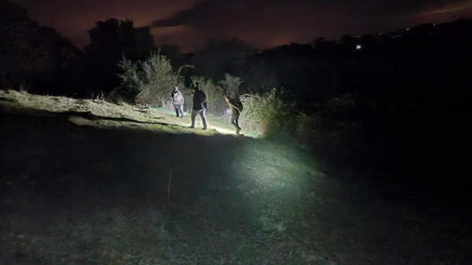 It’s Oil in the Name | Somerset Wildlife Trust