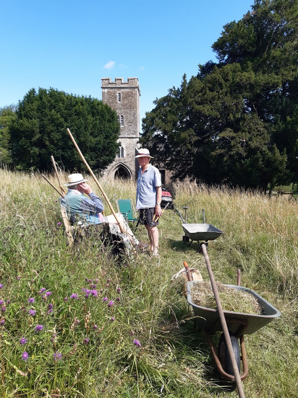 Wilder Churches | Somerset Wildlife Trust