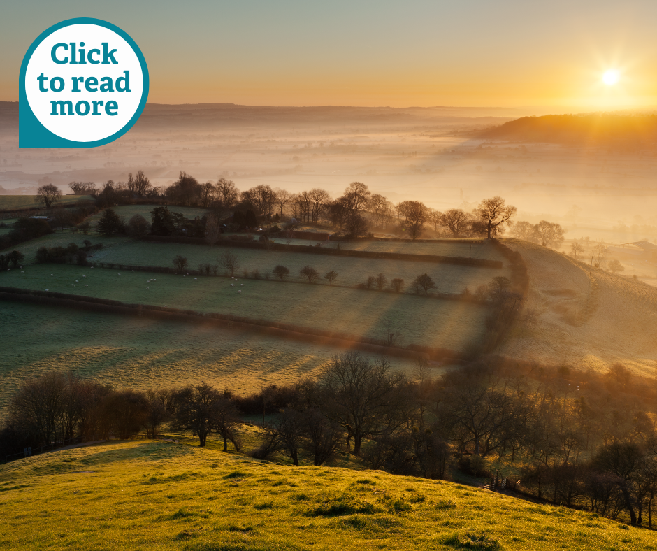 State of Nature | Somerset Wildlife Trust