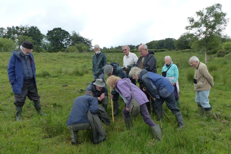 The legacy and future of the Local Area Groups | Somerset Wildlife Trust