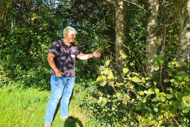 Wilder 2024 - Together for Nature | Somerset Wildlife Trust