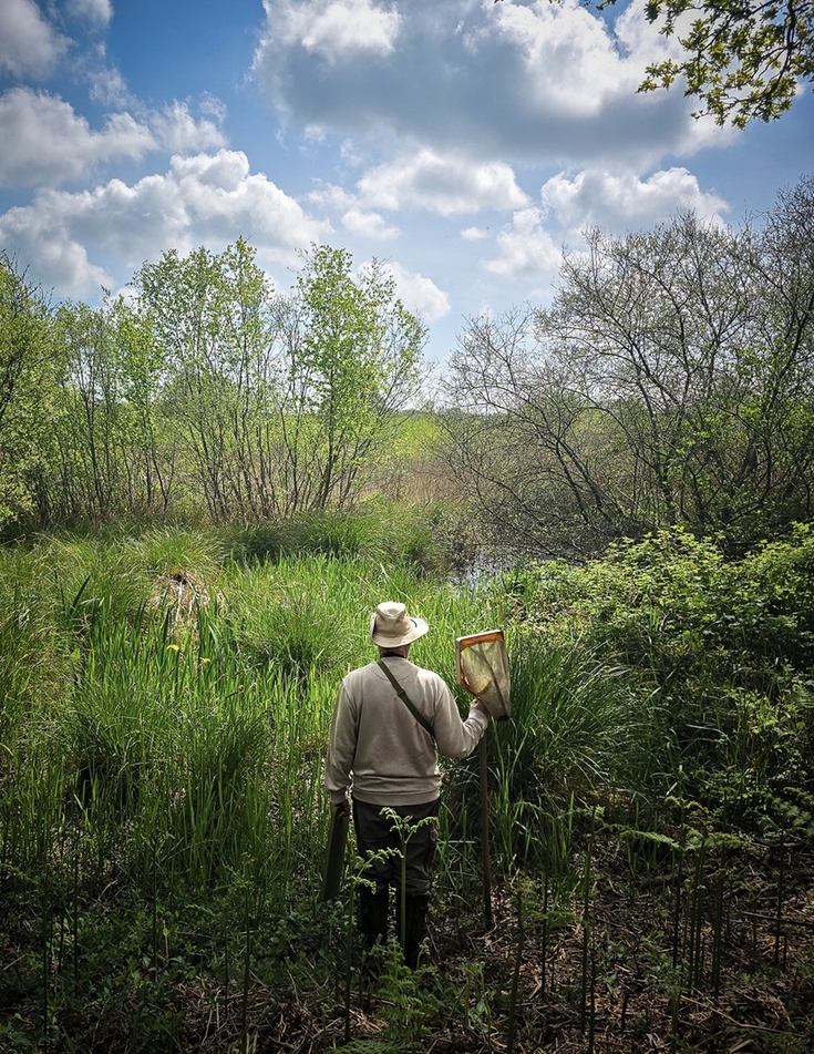 Photo Competition | Somerset Wildlife Trust