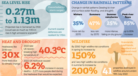 Climate Adaptation | Somerset Wildlife Trust