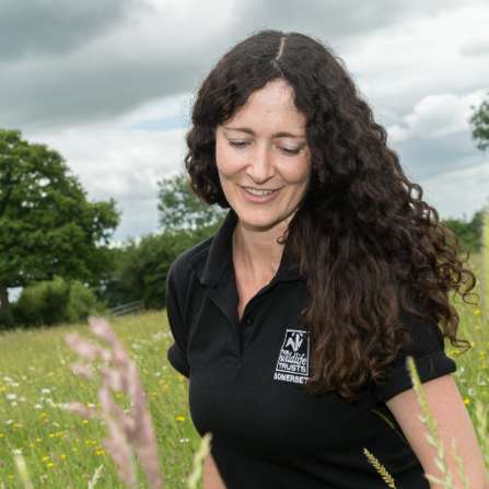 Mendip Hills | Somerset Wildlife Trust