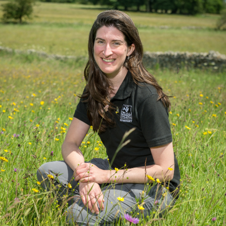 Mendip Hills | Somerset Wildlife Trust