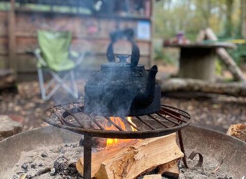 Somerset Nature Connections | Somerset Wildlife Trust