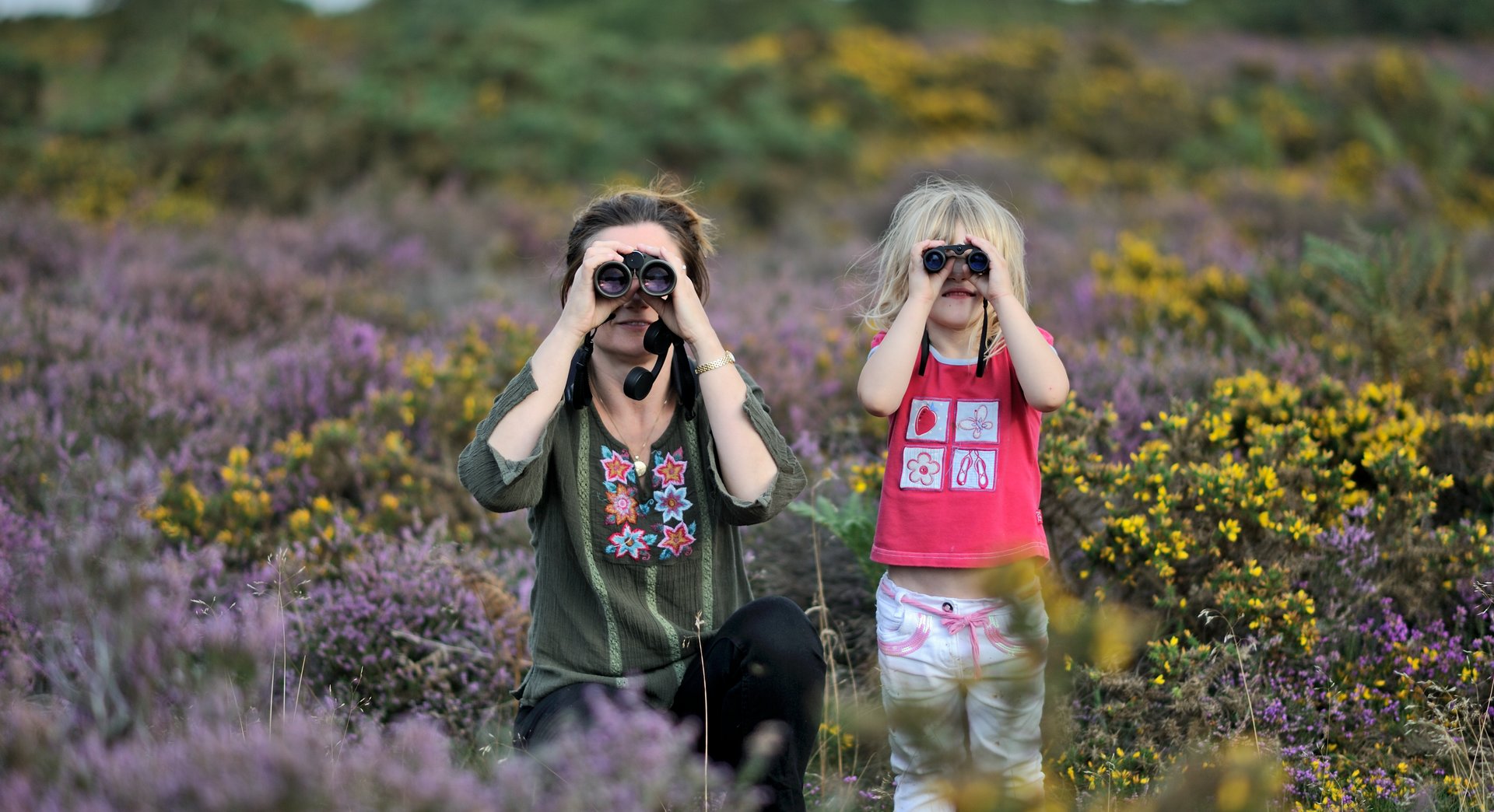 Family bird watching on heathland | Somerset Wildlife Trust