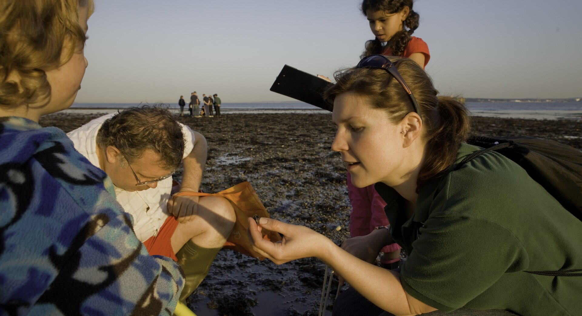 Citizen science shoresearch survey | Somerset Wildlife Trust